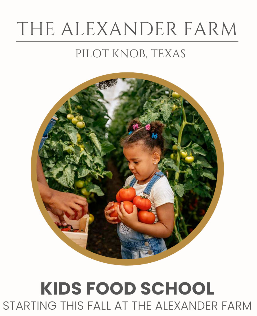 40 Acres & A Mule Project