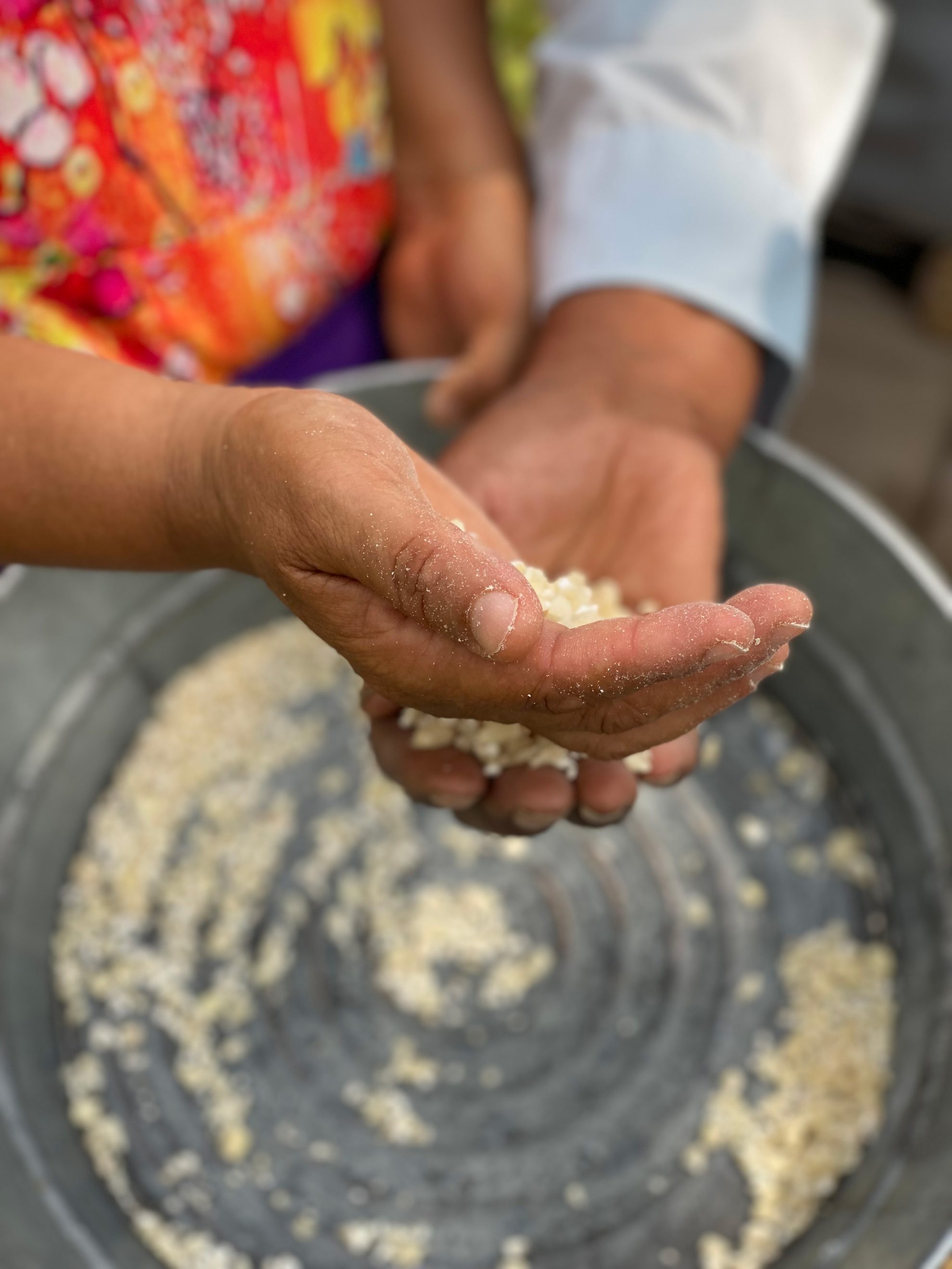 40 Acres & A Mule Project