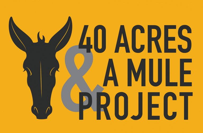 About The Project – 40 Acres & A Mule Project